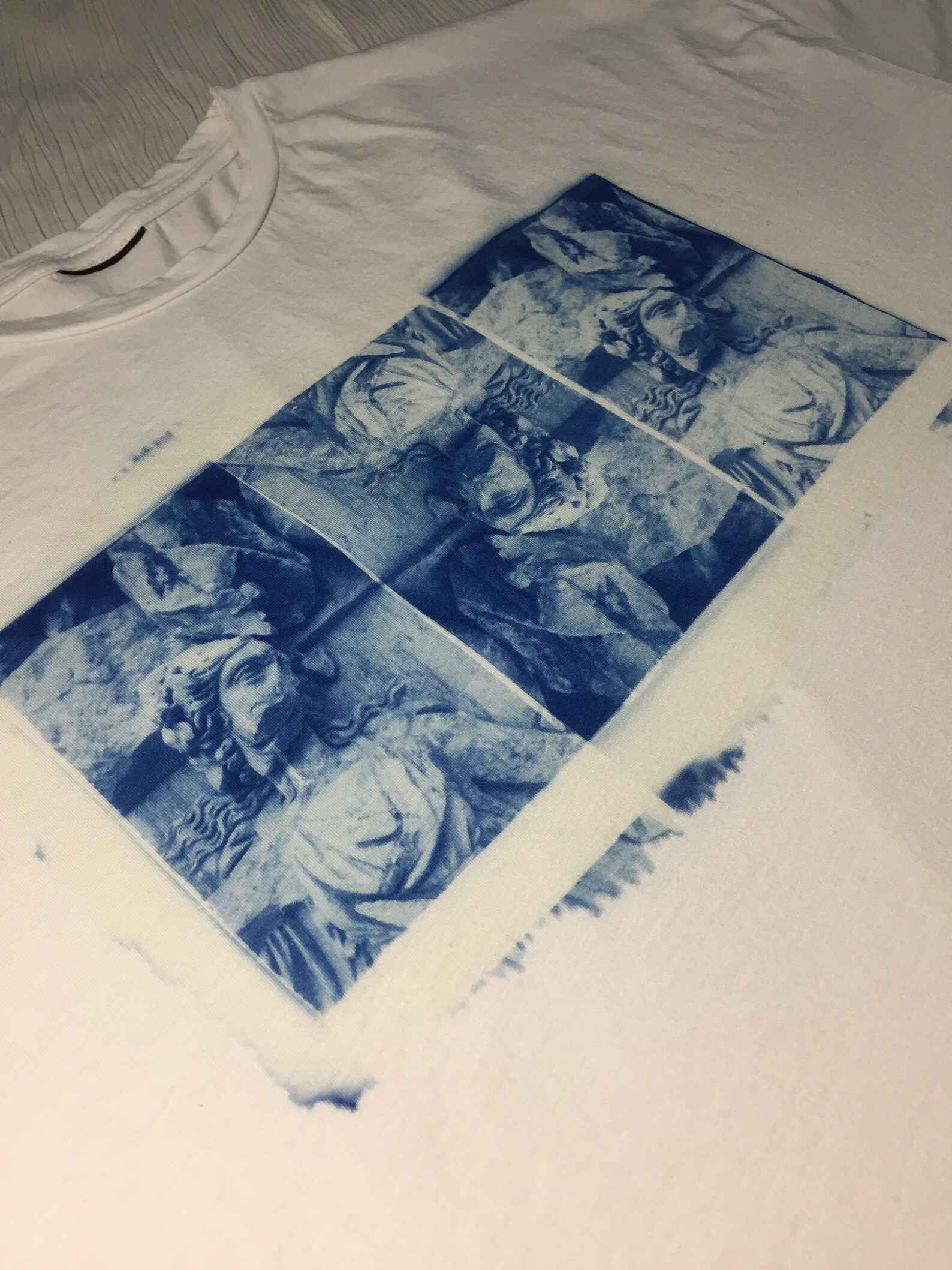 Femina Cyanotype T-shirt - Etsy