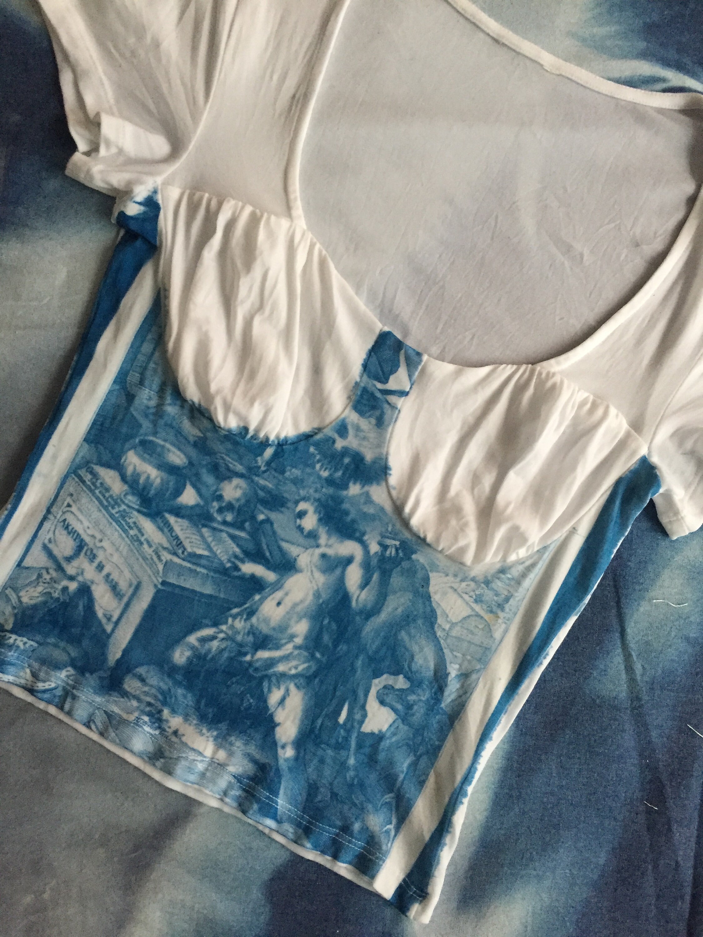 Faam En Historie Cyanotype Crop - Etsy