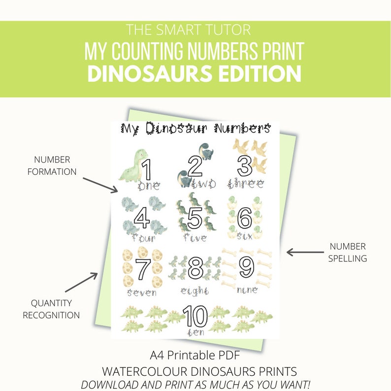 Dinosaur Counting Numbers Poster School Classroom Bedroom | Etsy