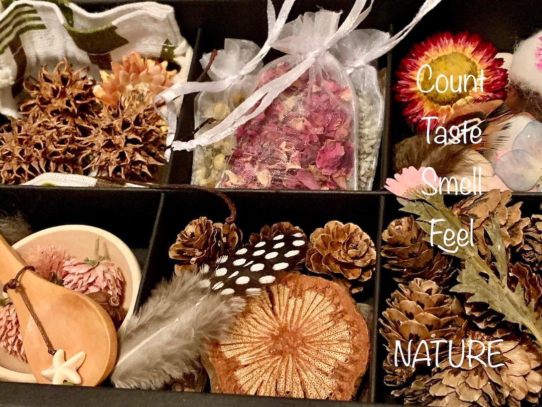 Kids Nature Sensory Crafting Boxes Montessori Waldorf Forest School ...