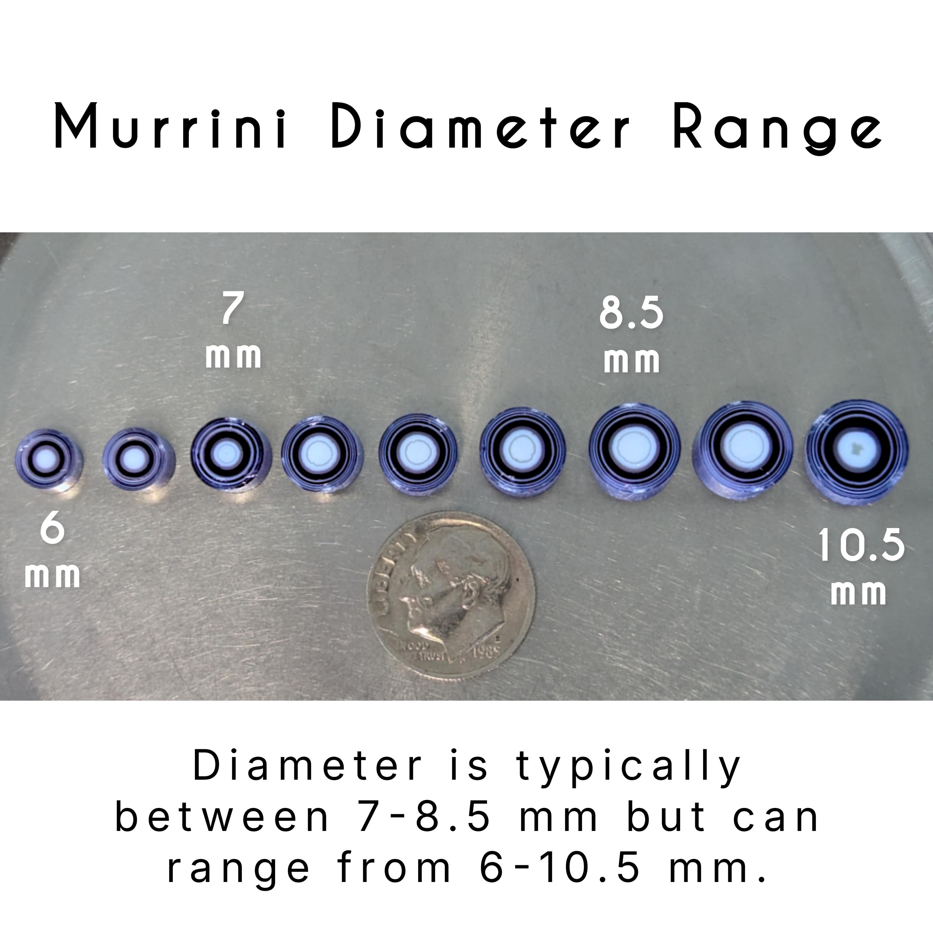 COE 90 Murrini | Peppermint 1oz | Millefiori, Murrine, Vitrigraph ...