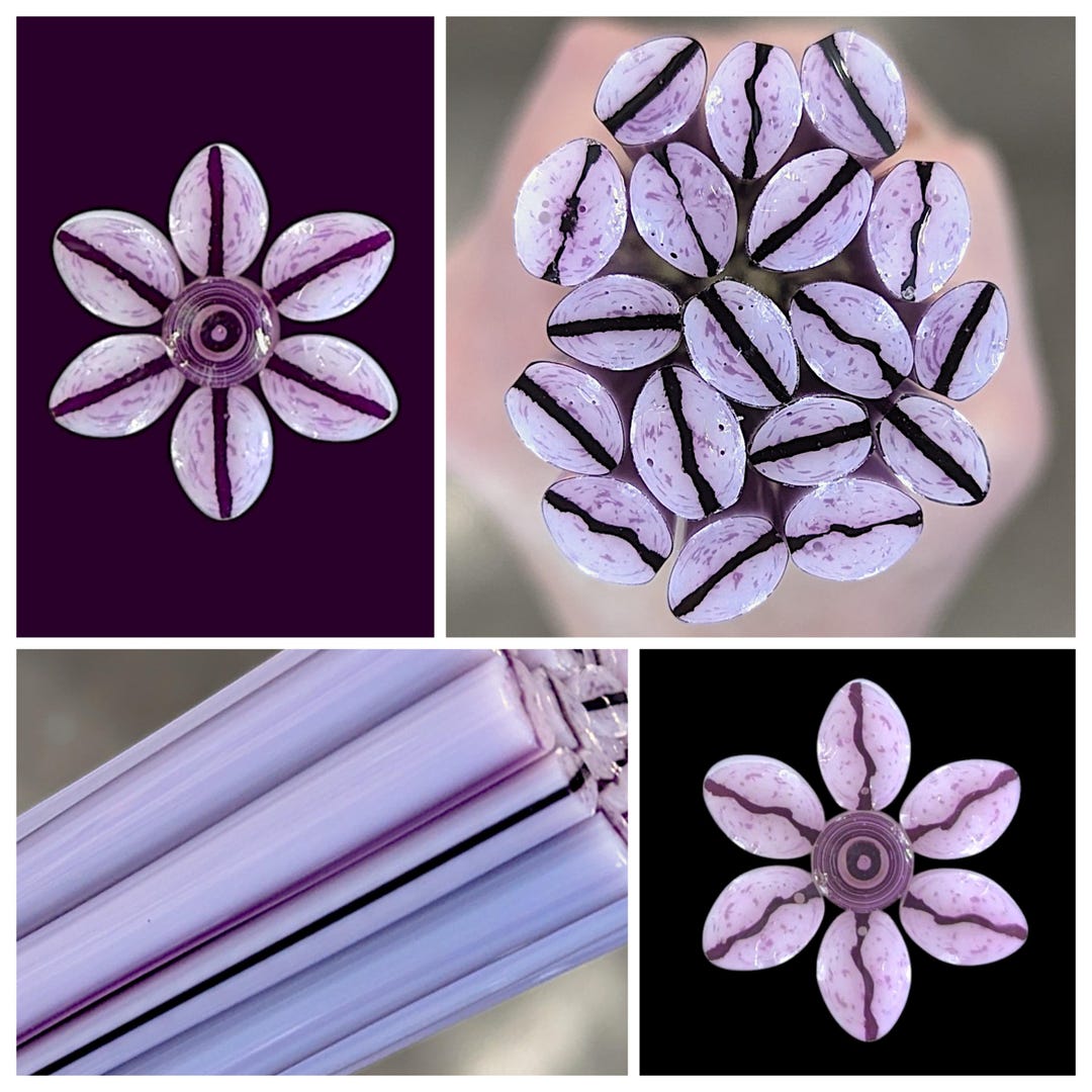 COE 90 Flower Murrini M/LG Violet Purple Petals 1oz Millefiori, Murrine ...