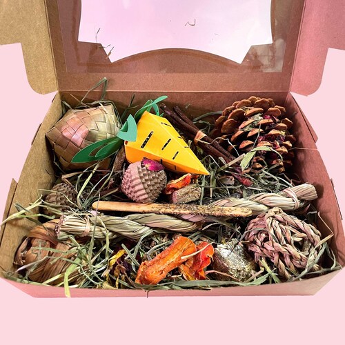 Rabbit Present Gift Box Forage Enrichment Toy Chinchilla - Etsy