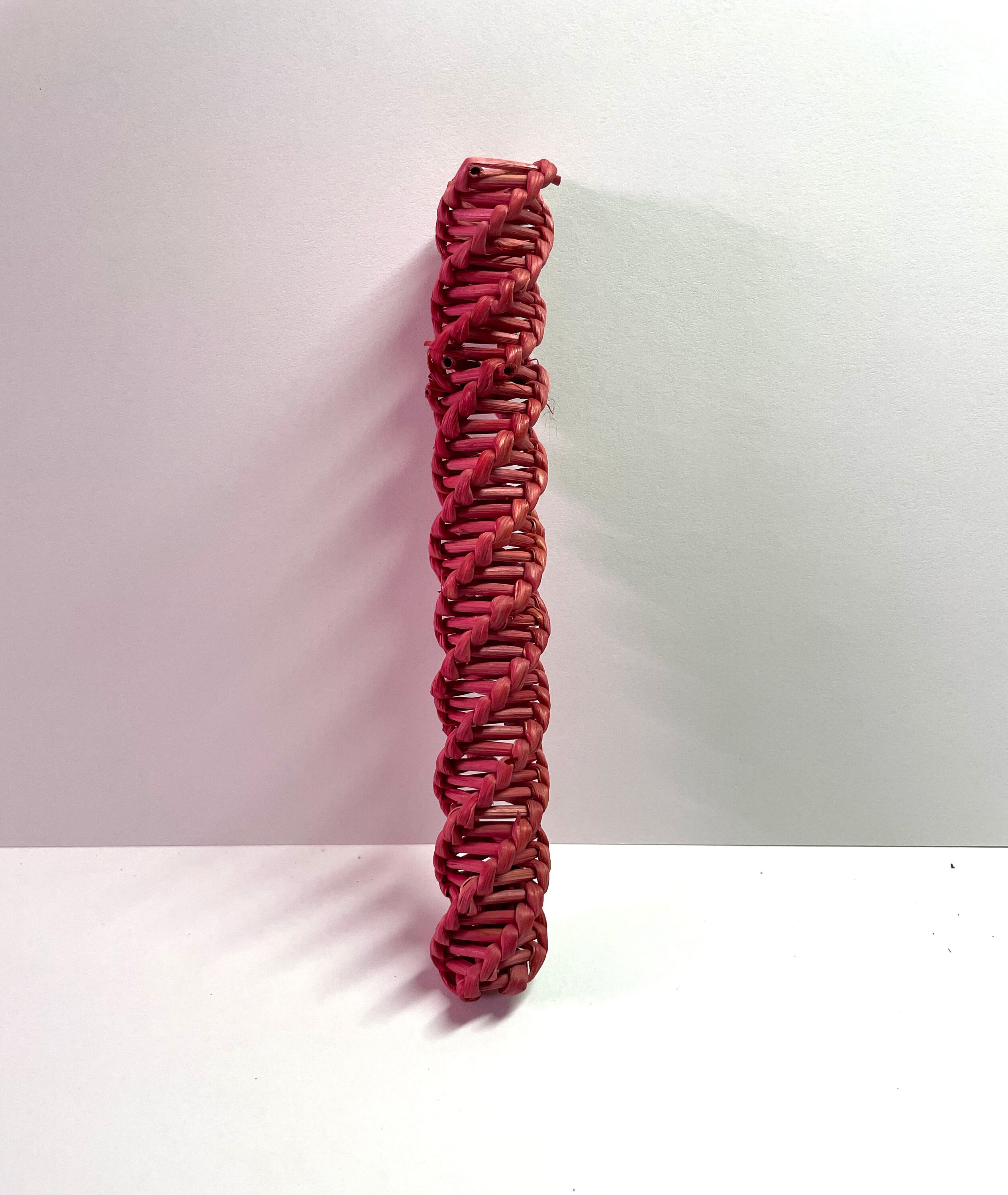 Cranberry Flavored Vine Stick 6 Inch Rabbit Toy Guinea Pig | Etsy