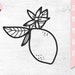 Lemon SVG, Lemon With Leaves SVG, Lemon PNG, Lemon Svg File for Cricut ...