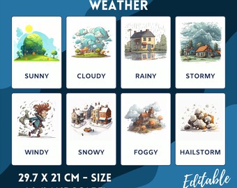 Weather Flashcards - Etsy