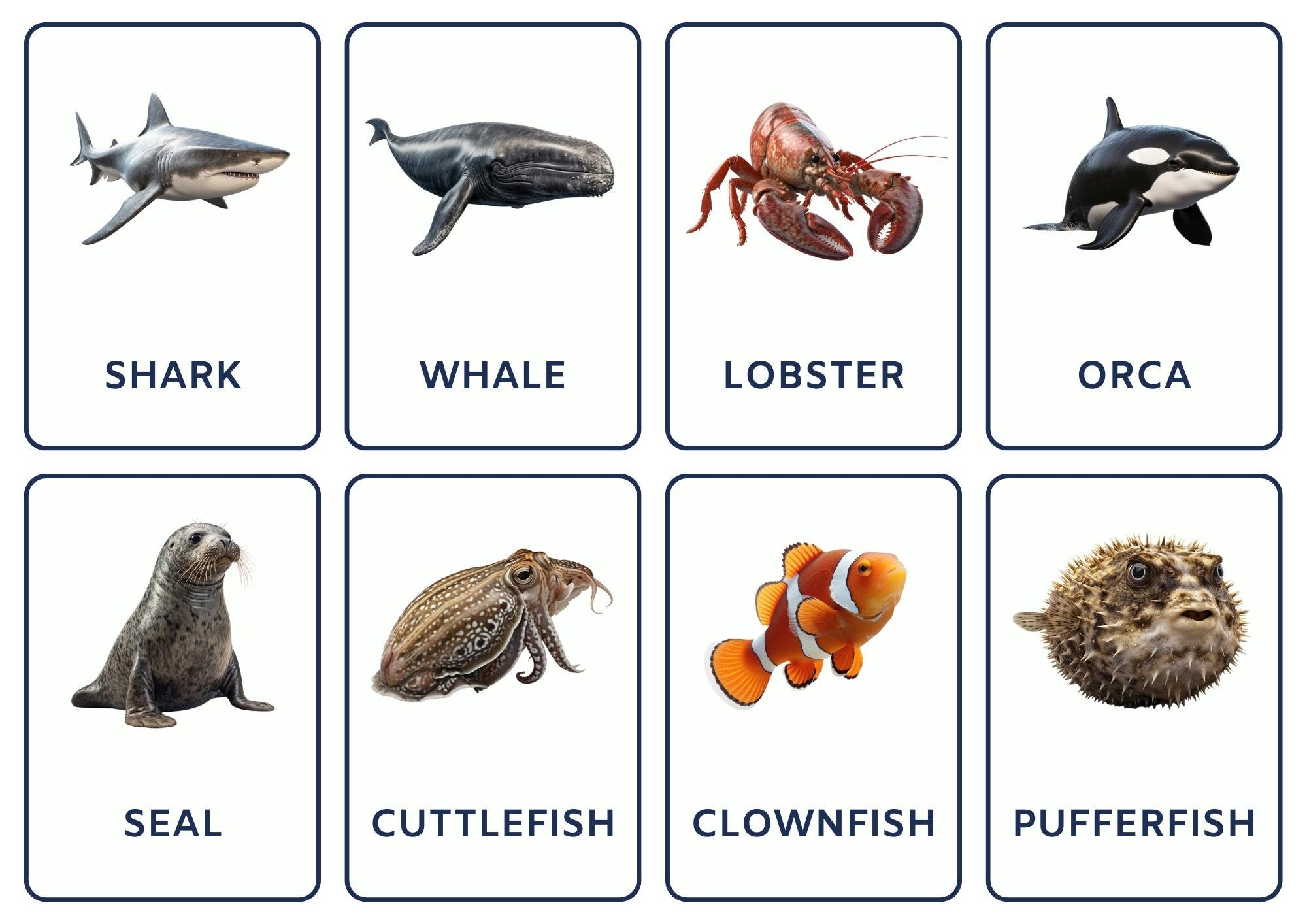 Sea Creatures 25 Editable Flashcards Pre School Educational Flashcards ...