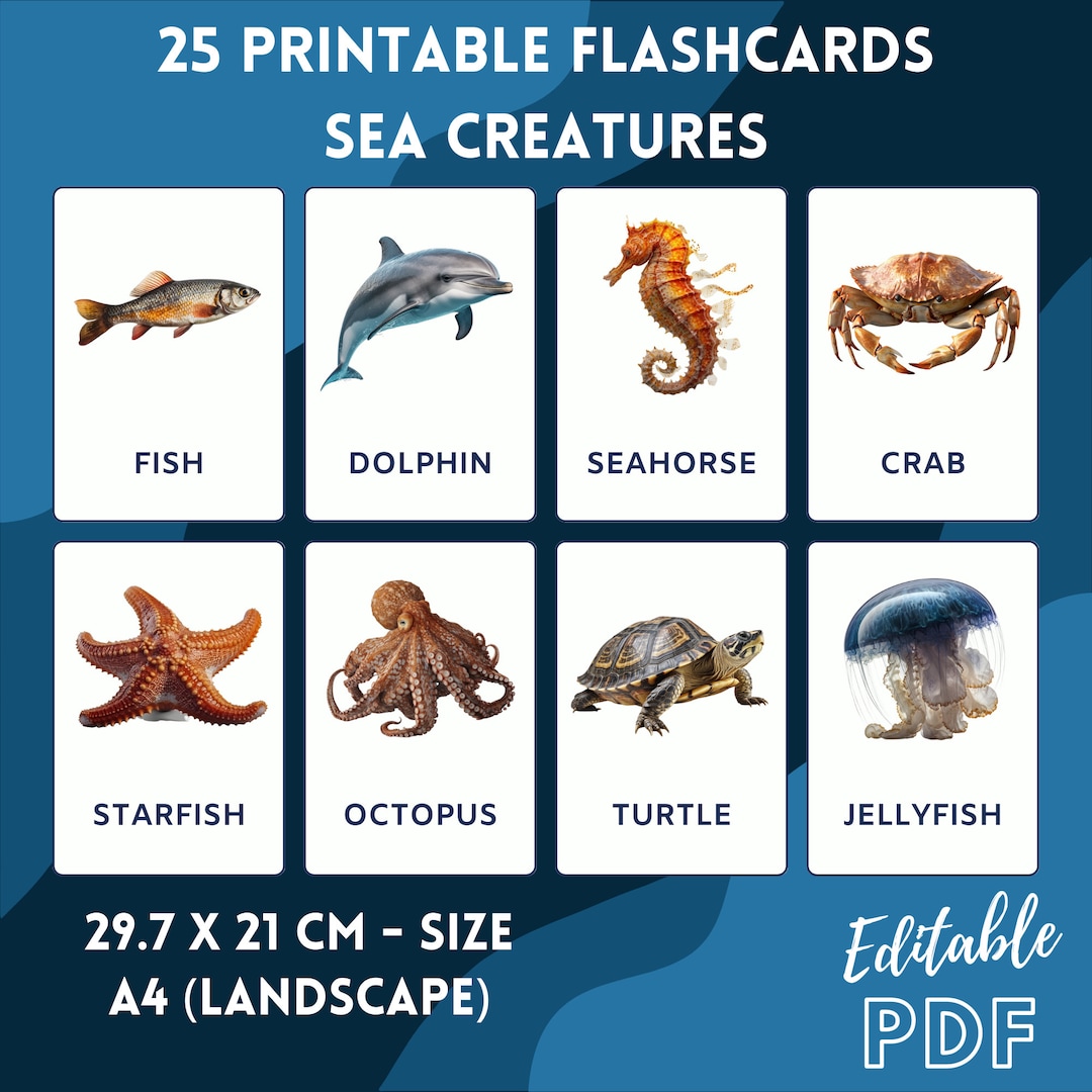 Sea Creatures 25 Editable Flashcards Pre School Educational Flashcards ...