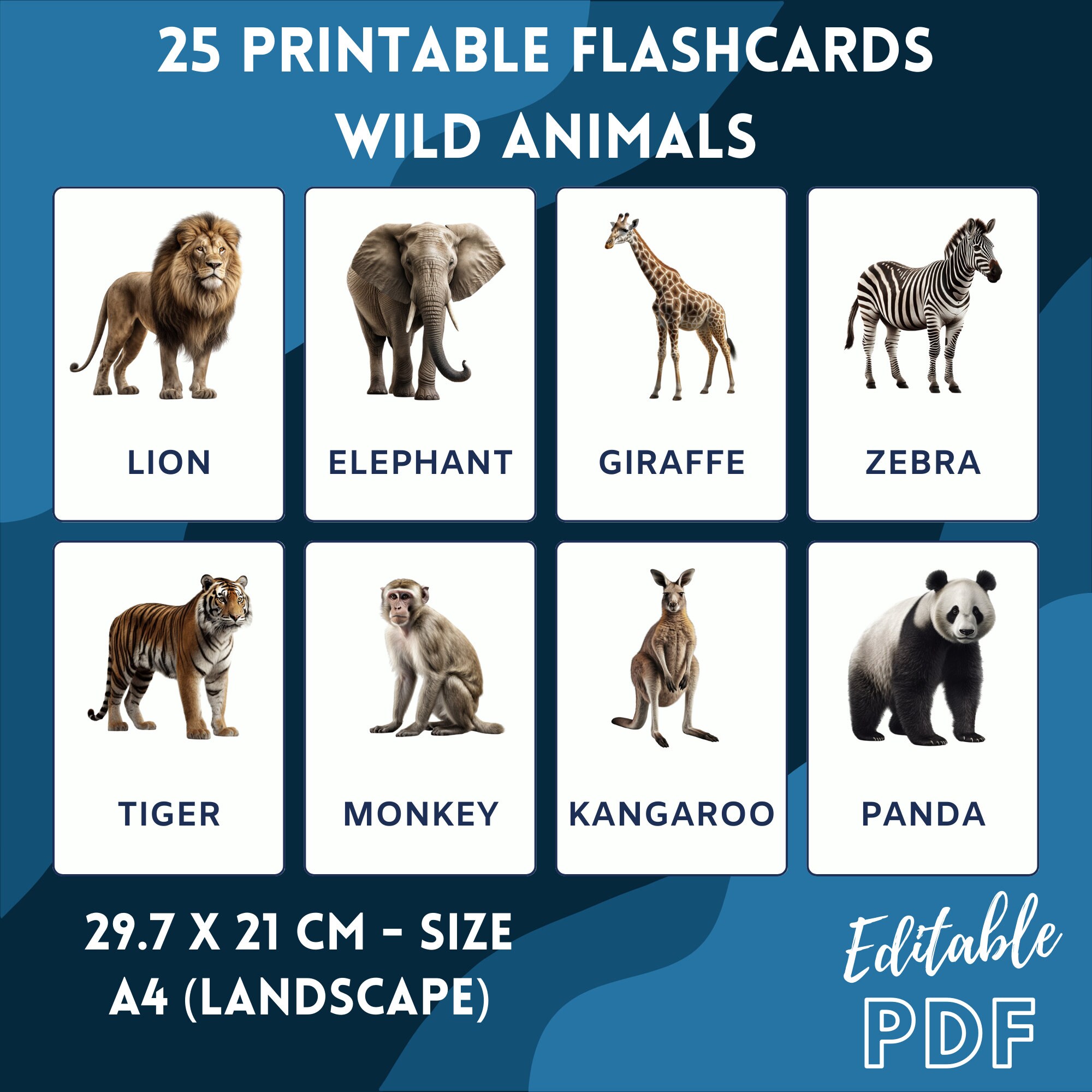 Wild Animals 25 Editable Flashcards Pre School Educational Flashcards ...