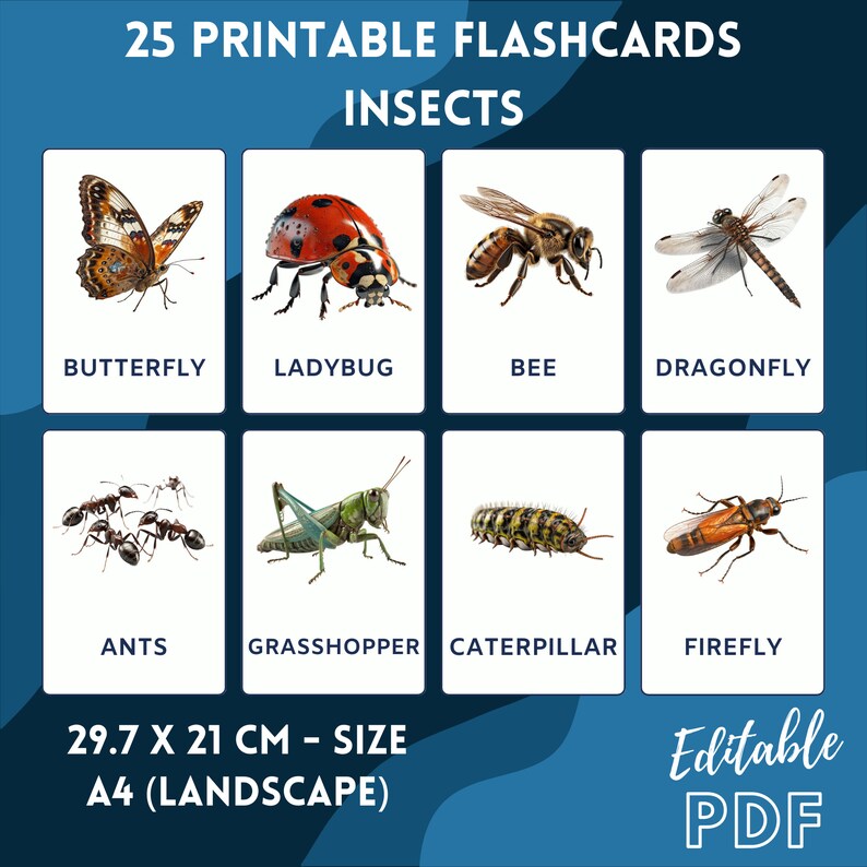 Insects 25 Editable Flashcards Pre School Educational Flashcards PDF ...