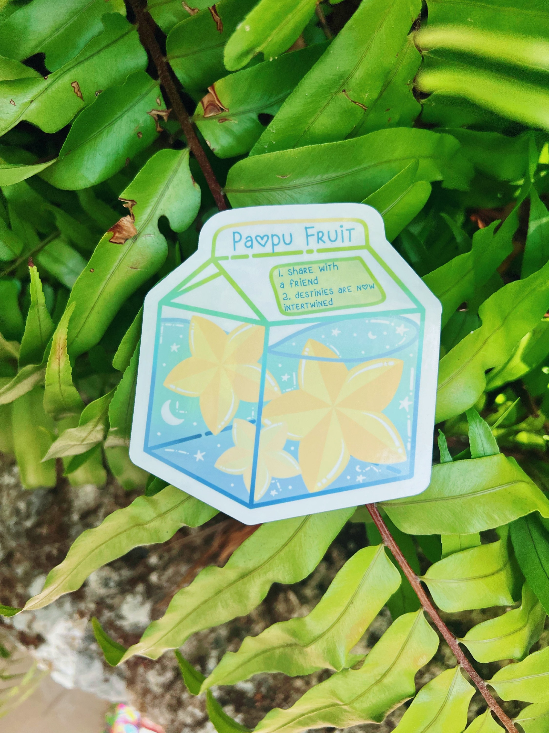 Kingdom Hearts Paopu Fruit Milk Box Carton Sticker - Etsy