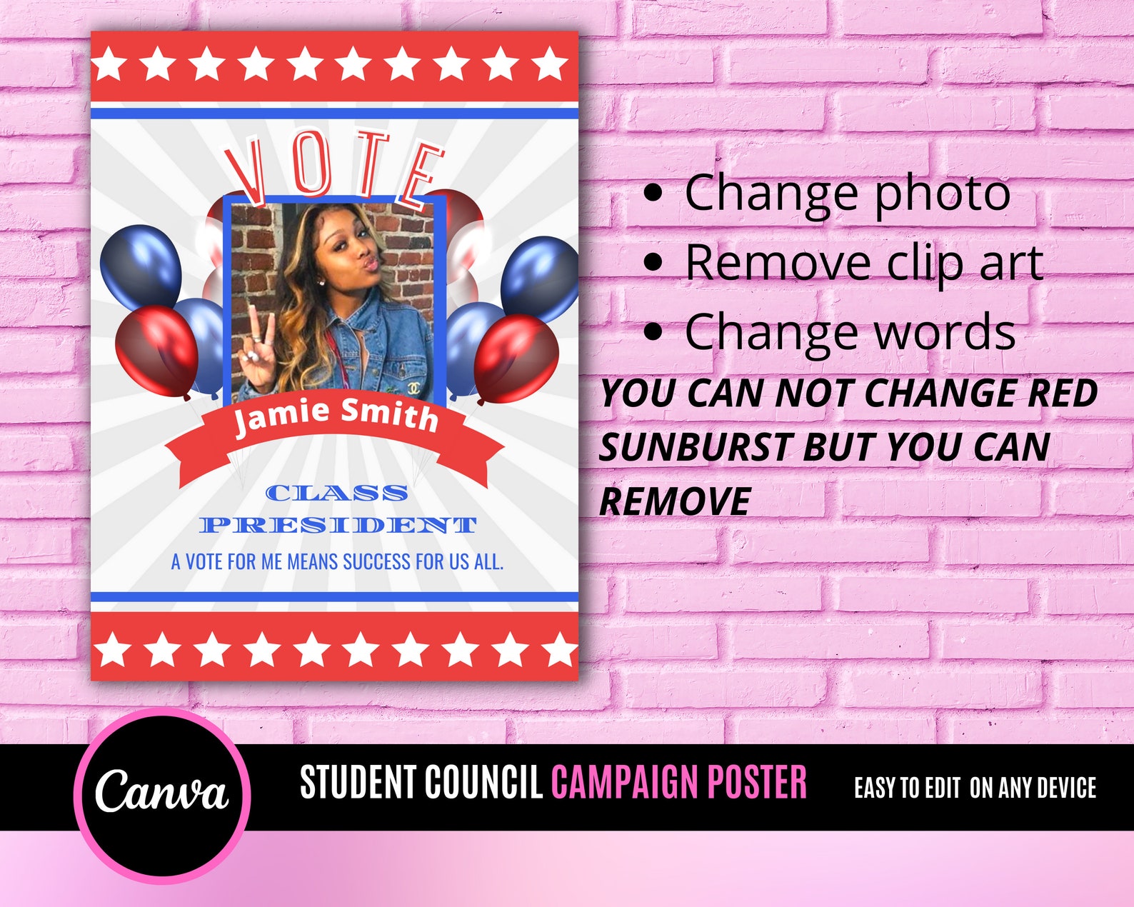 Student Council Poster Sign Class Campaign Class President - Etsy