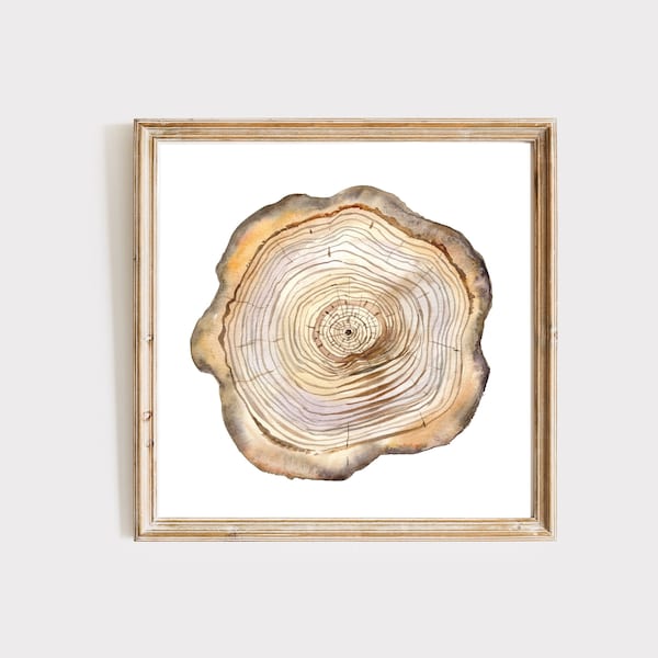 Tree Ring Art Print - Etsy