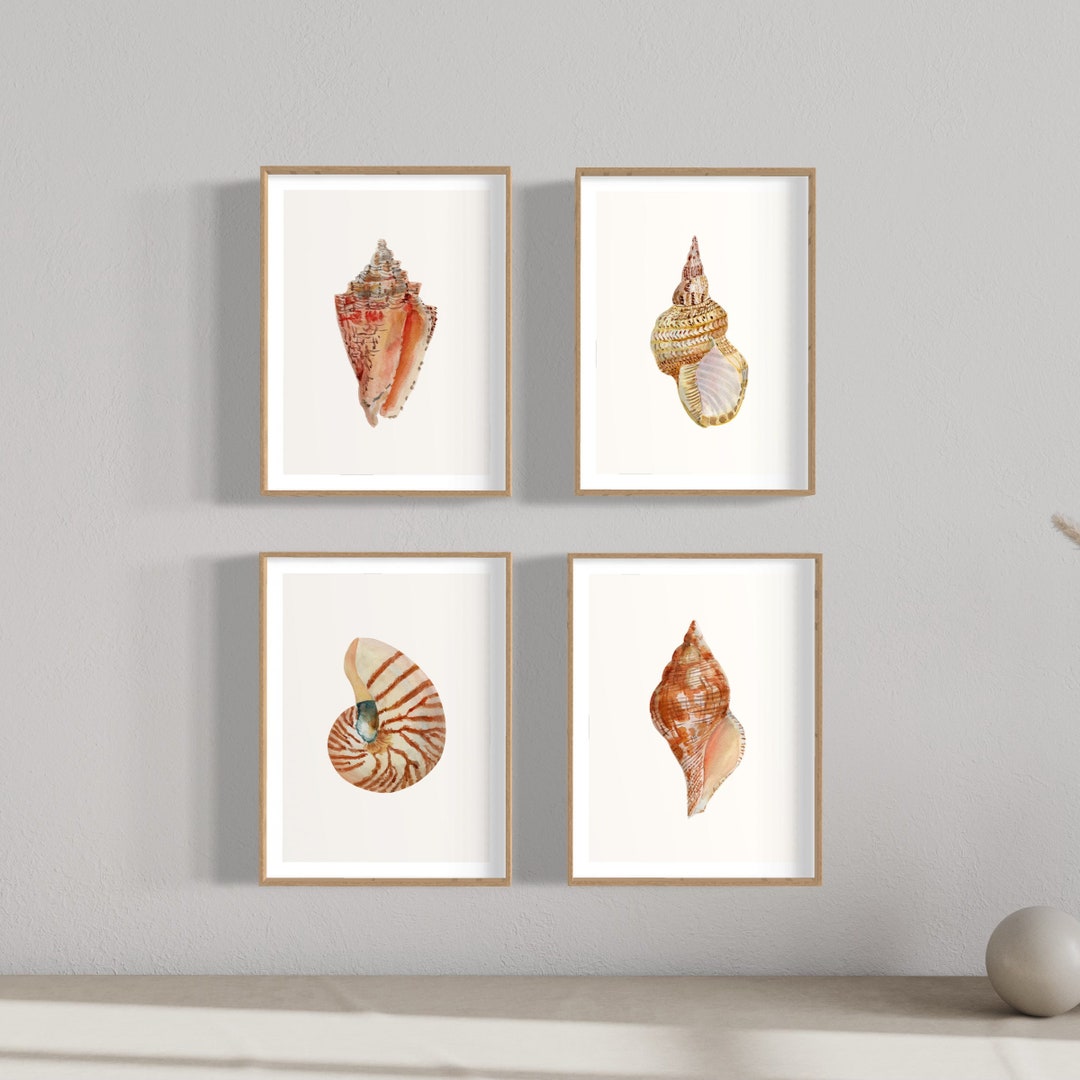 Sea Shell Art, Set of 4 Art Prints, Watercolor Nautical Painting ...