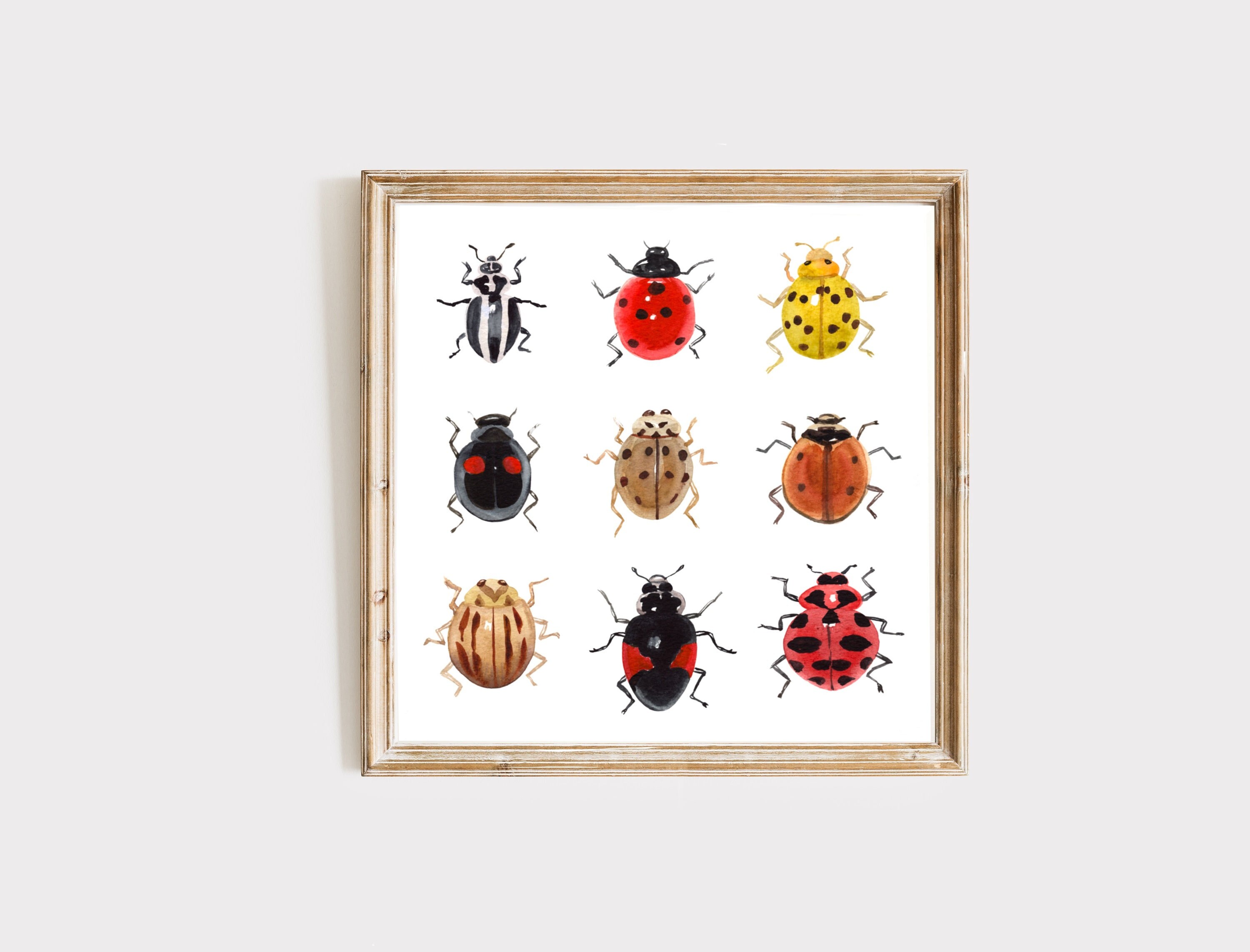 Ladybug Art Print, Watercolor Painting, Bug Insect Print, Insect Lover ...