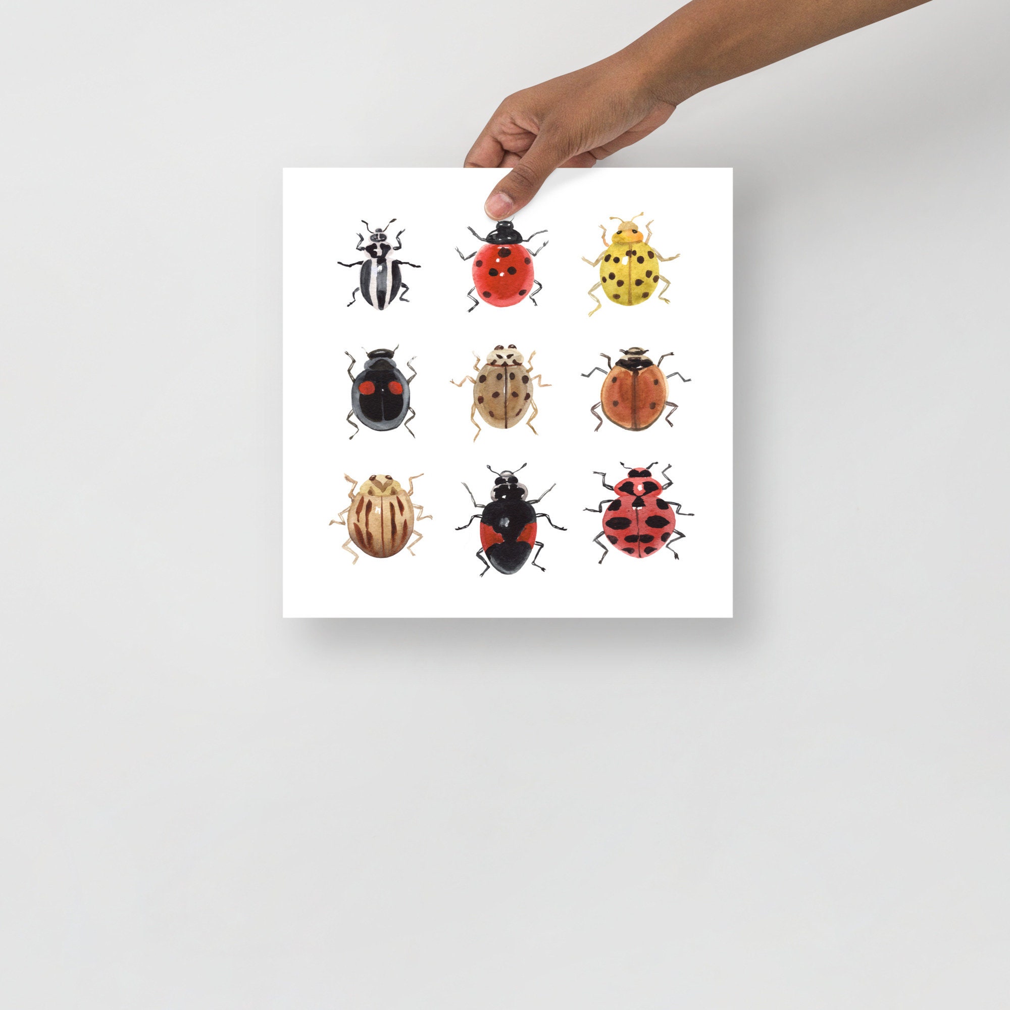 Ladybug Art Print, Watercolor Painting, Bug Insect Print, Insect Lover ...