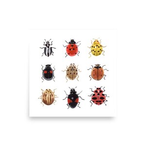 Ladybug Wall Art, Watercolor Painting, Bug Insect Print, Insect Lover ...