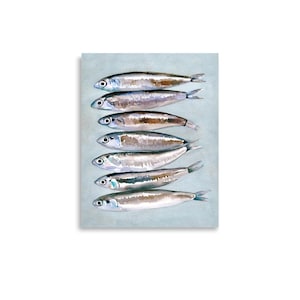 Sardines Wall Art, Watercolor Sardines, Sardine Art Print, Fish Still ...