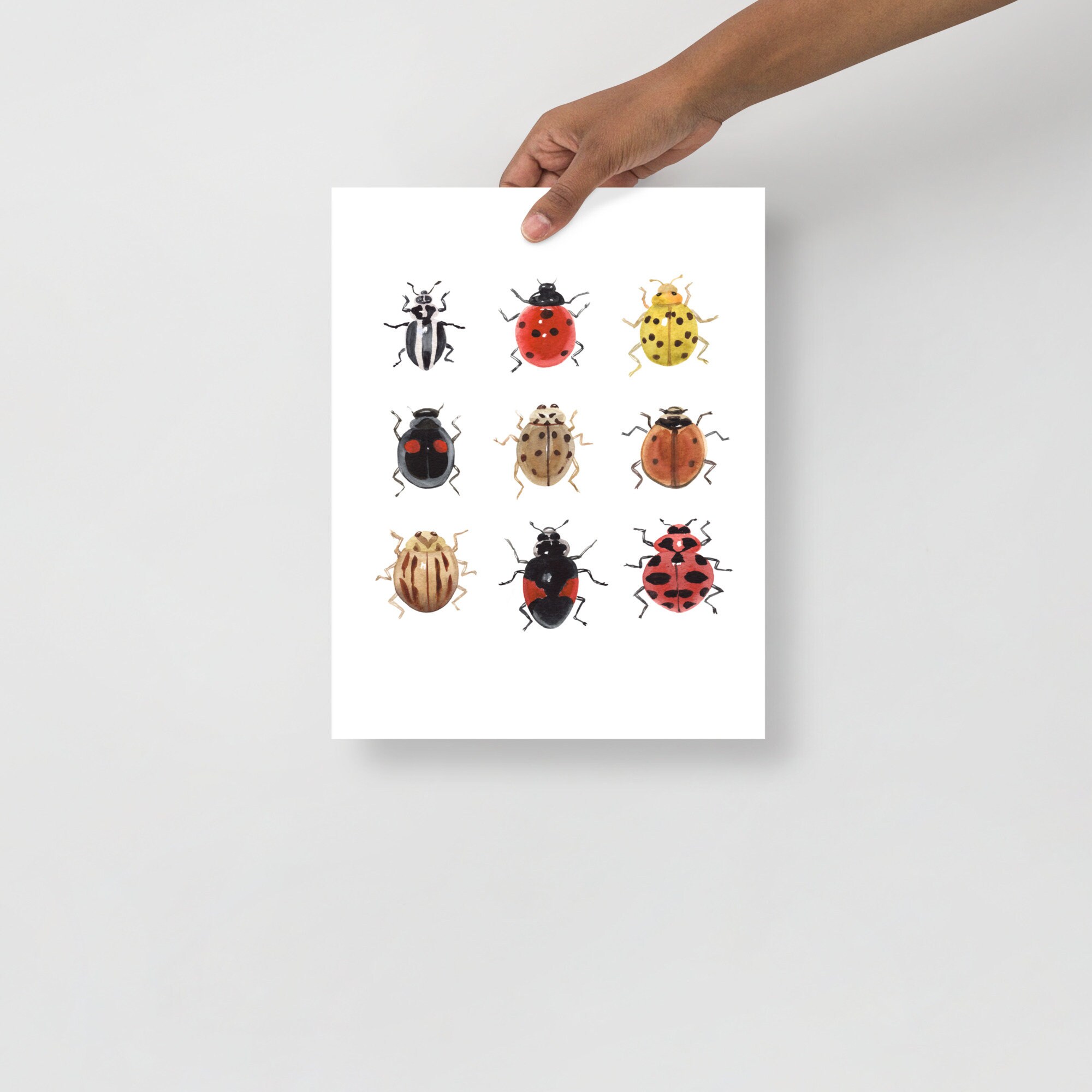 Ladybug Art Print, Watercolor Painting, Bug Insect Print, Insect Lover ...