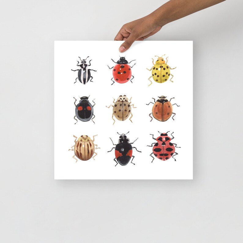 Ladybug Art Print, Watercolor Painting, Bug Insect Print, Insect Lover ...