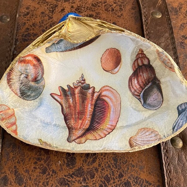 Painted Clam Shell - Etsy