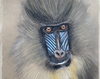 Original Mandrill Monkey Pastel Drawing - Etsy