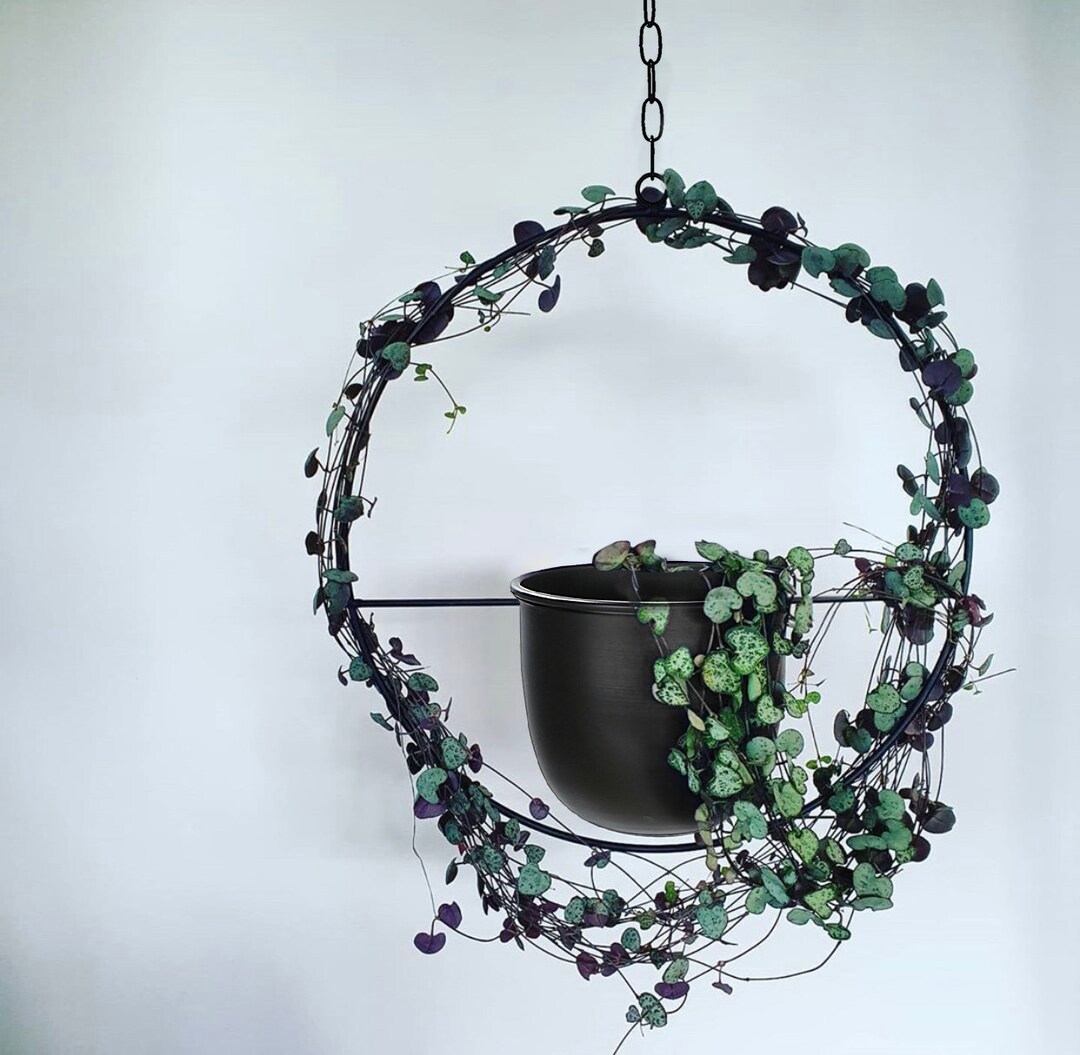 Hanging Iron Planters 6 Pot, Metal Hanging Planter Pot, Modern ...