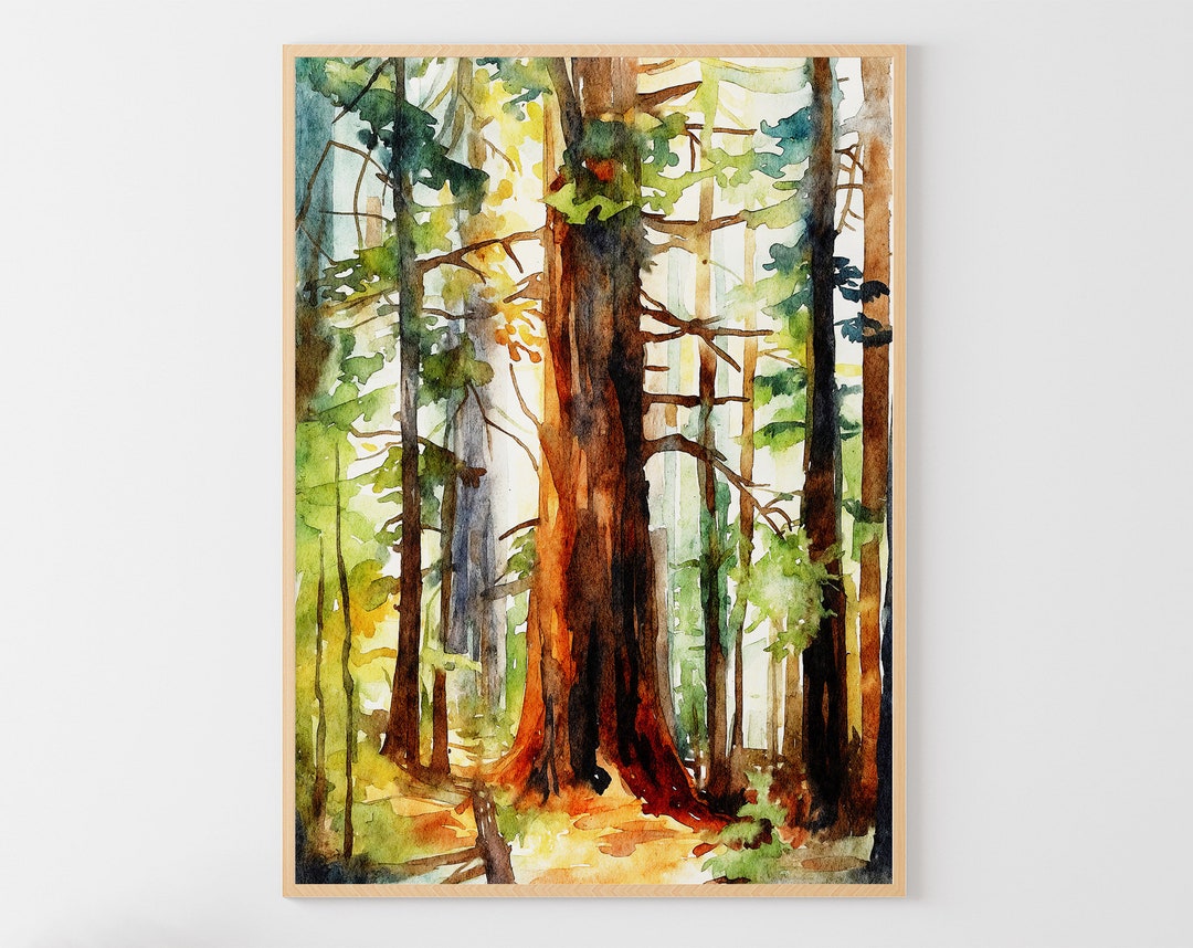 Sequoia Trees Watercolor Painting Redwood Forest Art Print National ...