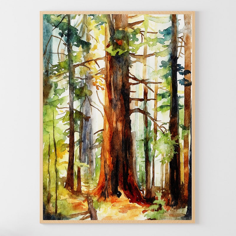 Redwood Tree Art - Etsy