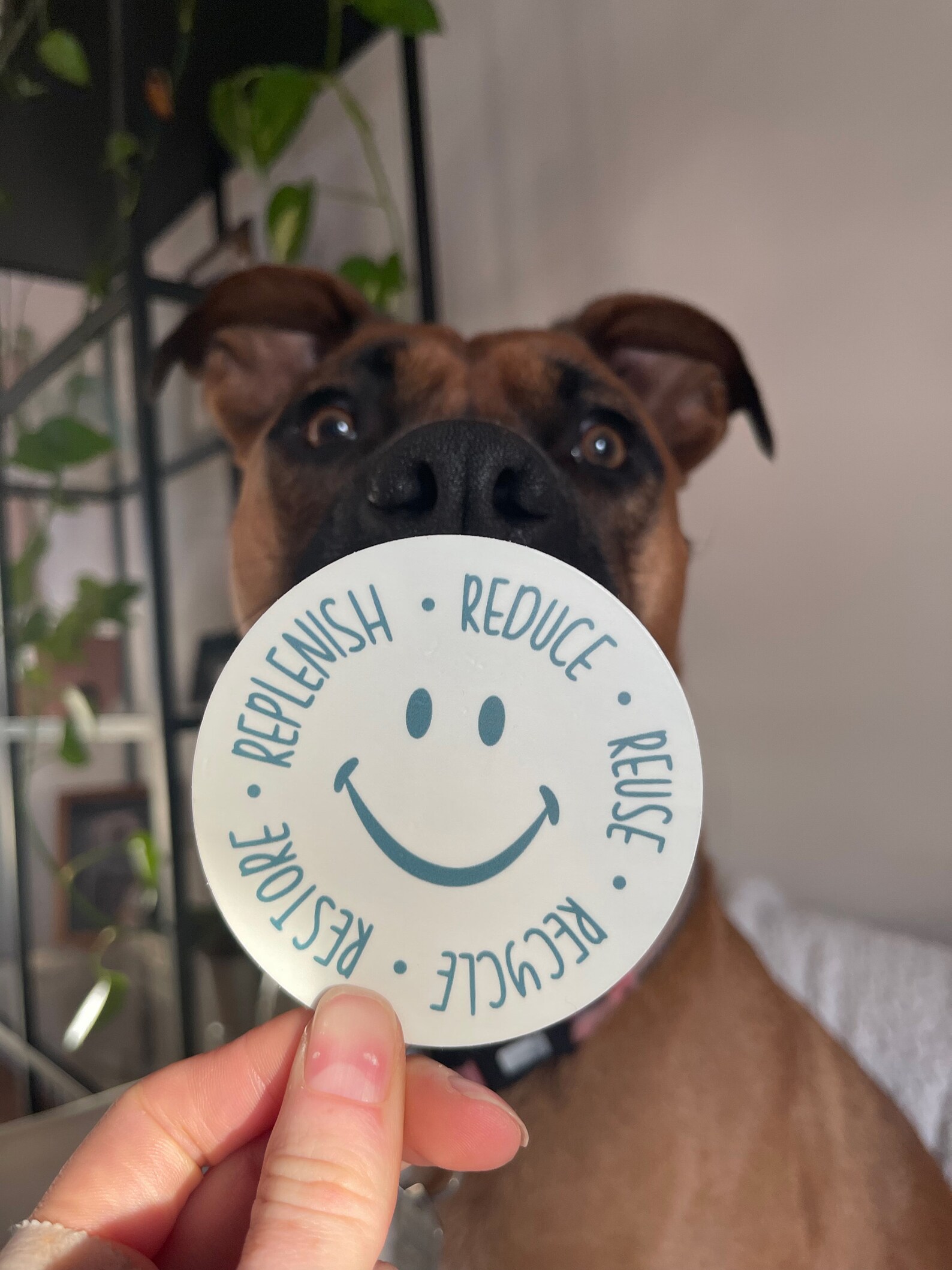 Reduce, Reuse, Recycle // Laptop / Bumper Sticker // Vinyl 3 Save the ...