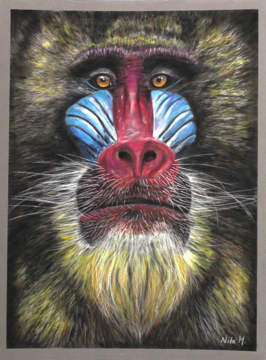 Original Mandrill Monkey Pastel Drawing - Etsy