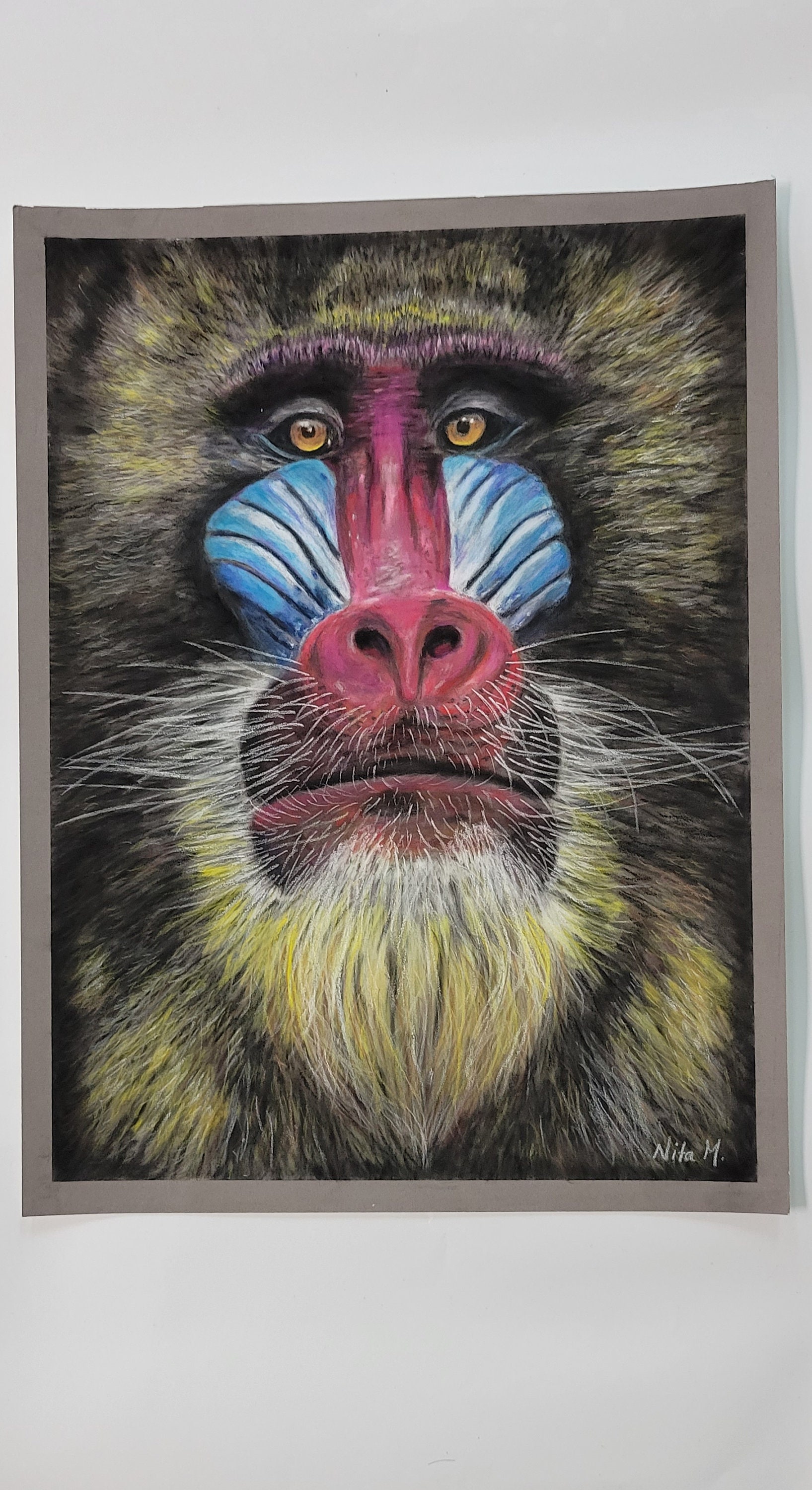 Original Mandrill Monkey Pastel Drawing - Etsy