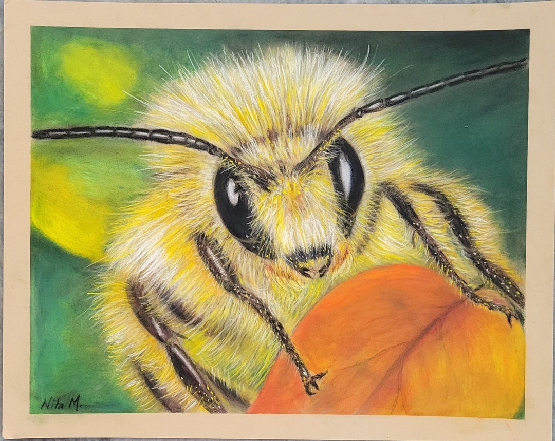 Original Fuzzy Bee Pastel Drawing - Etsy
