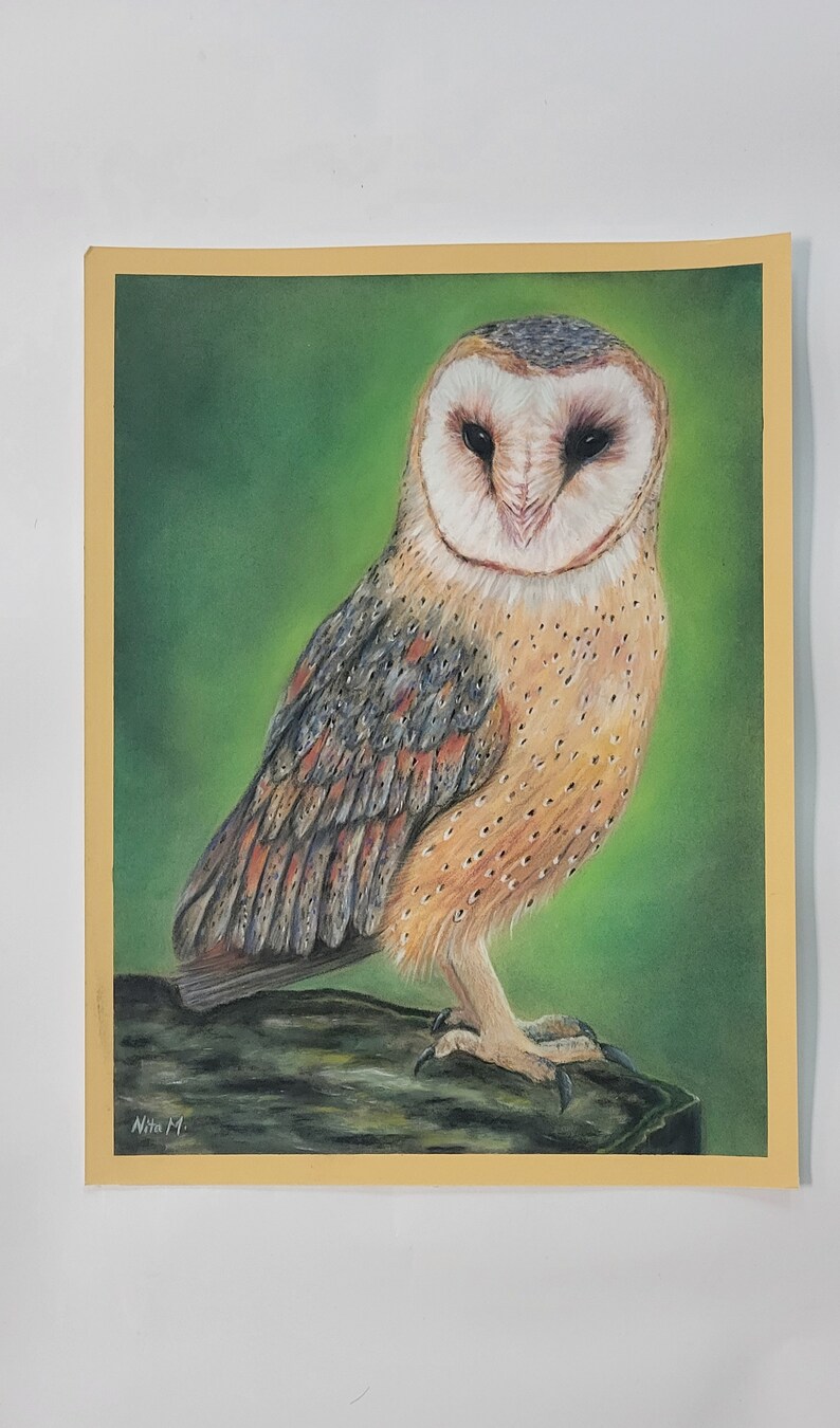 Original Barn Owl Pastel Drawing - Etsy