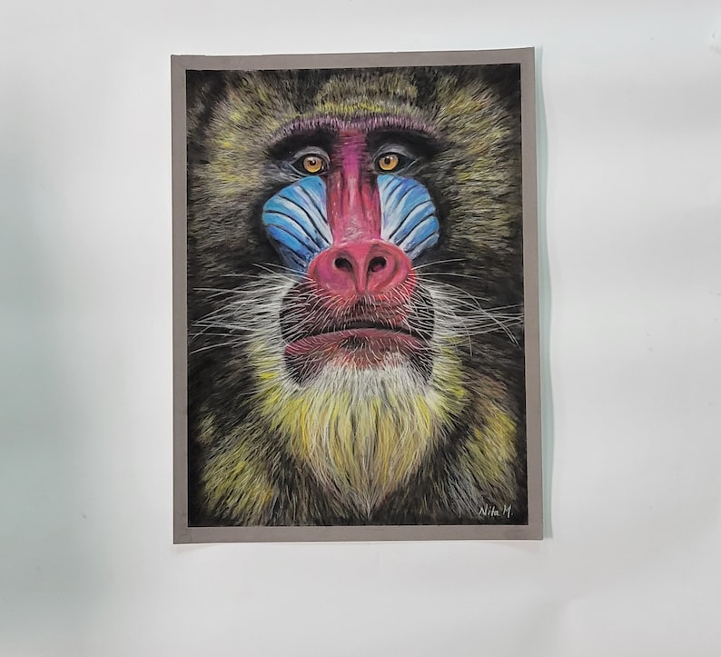 Original Mandrill Monkey Pastel Drawing - Etsy