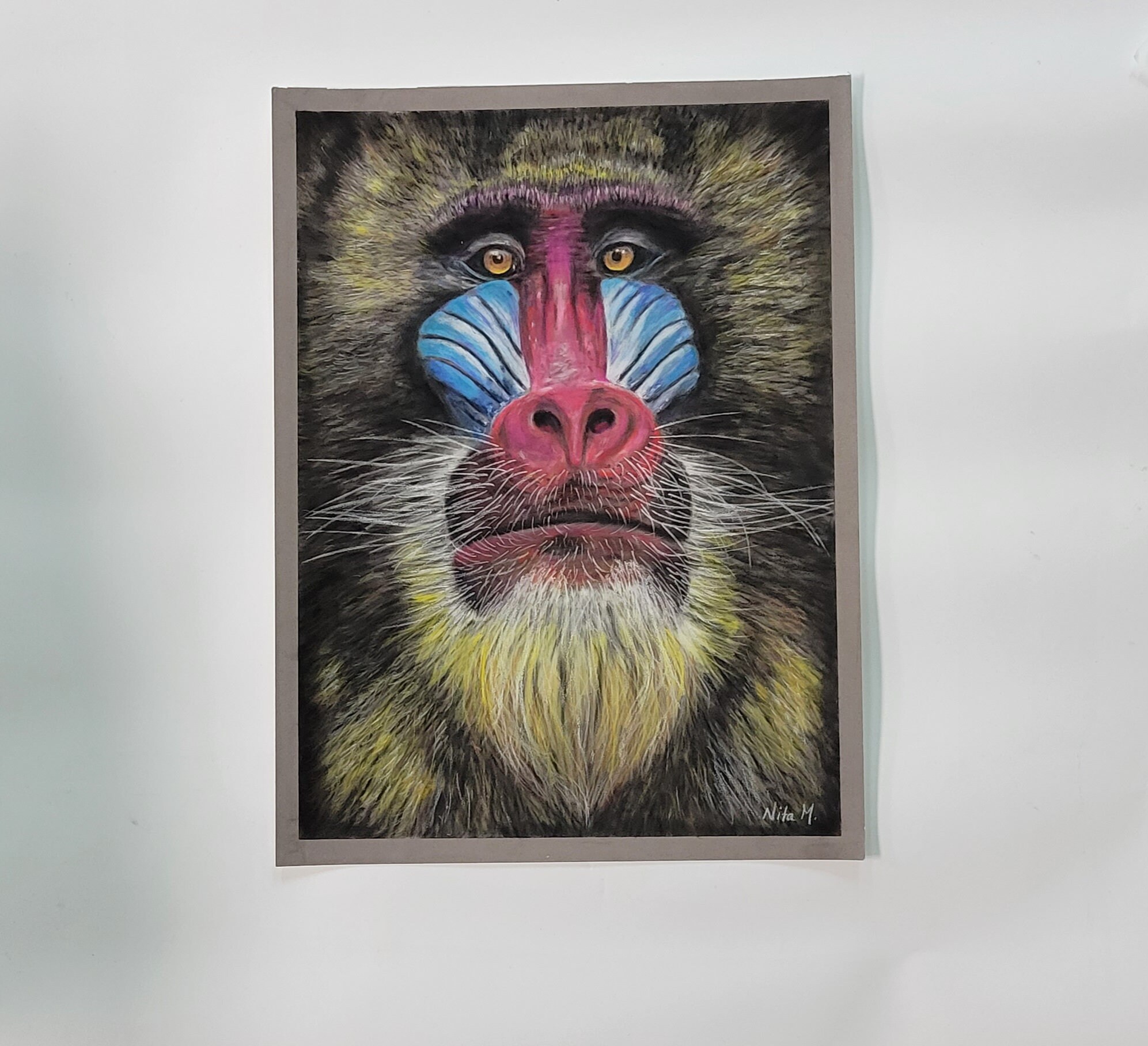 Original Mandrill Monkey Pastel Drawing - Etsy