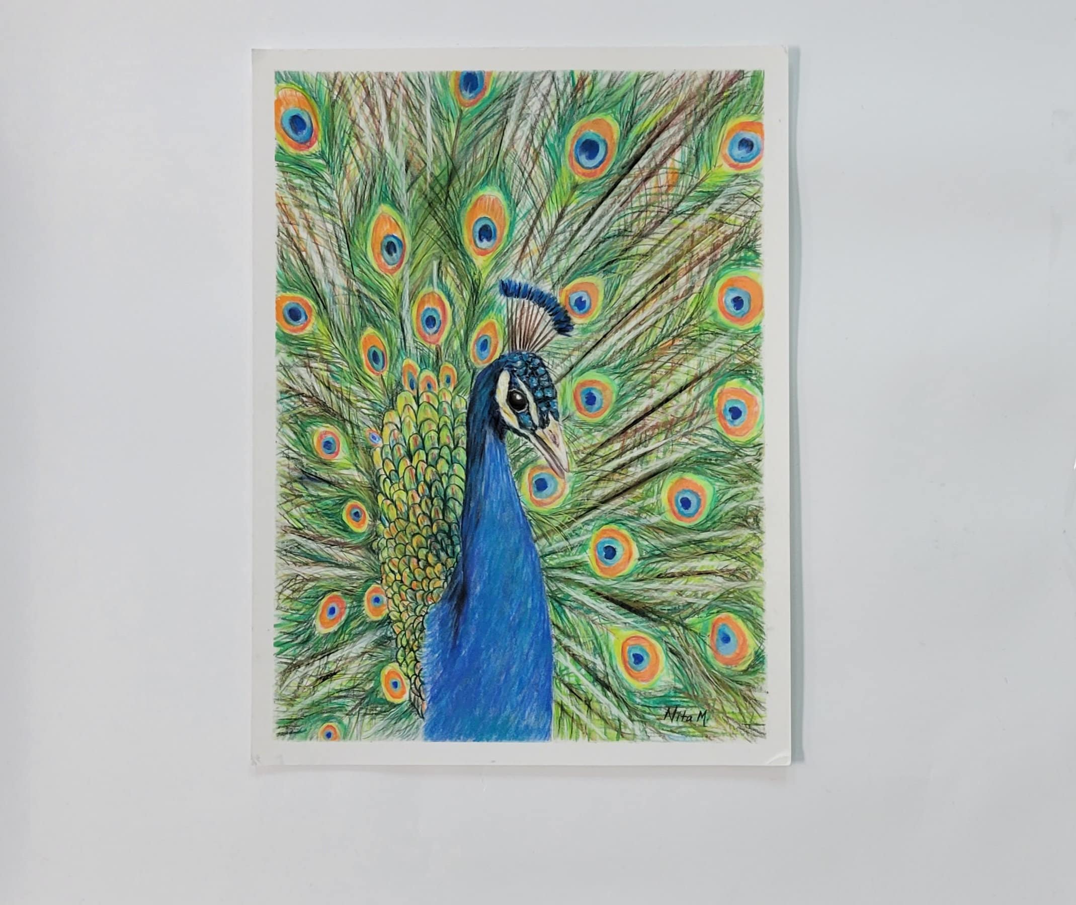Original Peacock Bird Pastel Drawing - Etsy