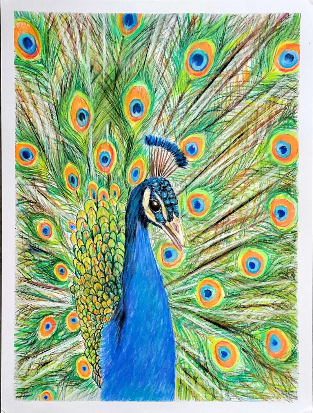 Original Peacock Bird Pastel Drawing - Etsy