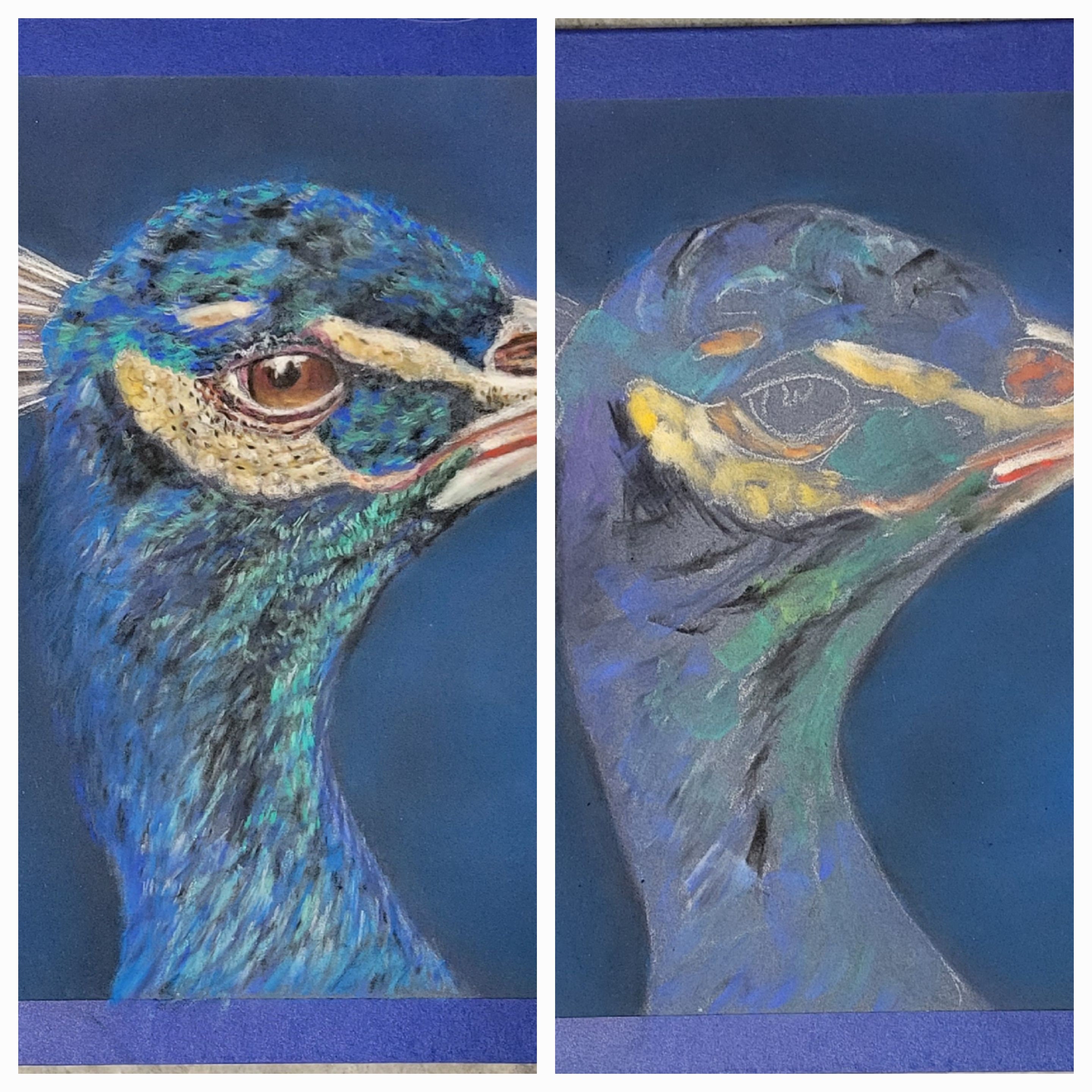 Original Peacock Pastel Drawing - Etsy