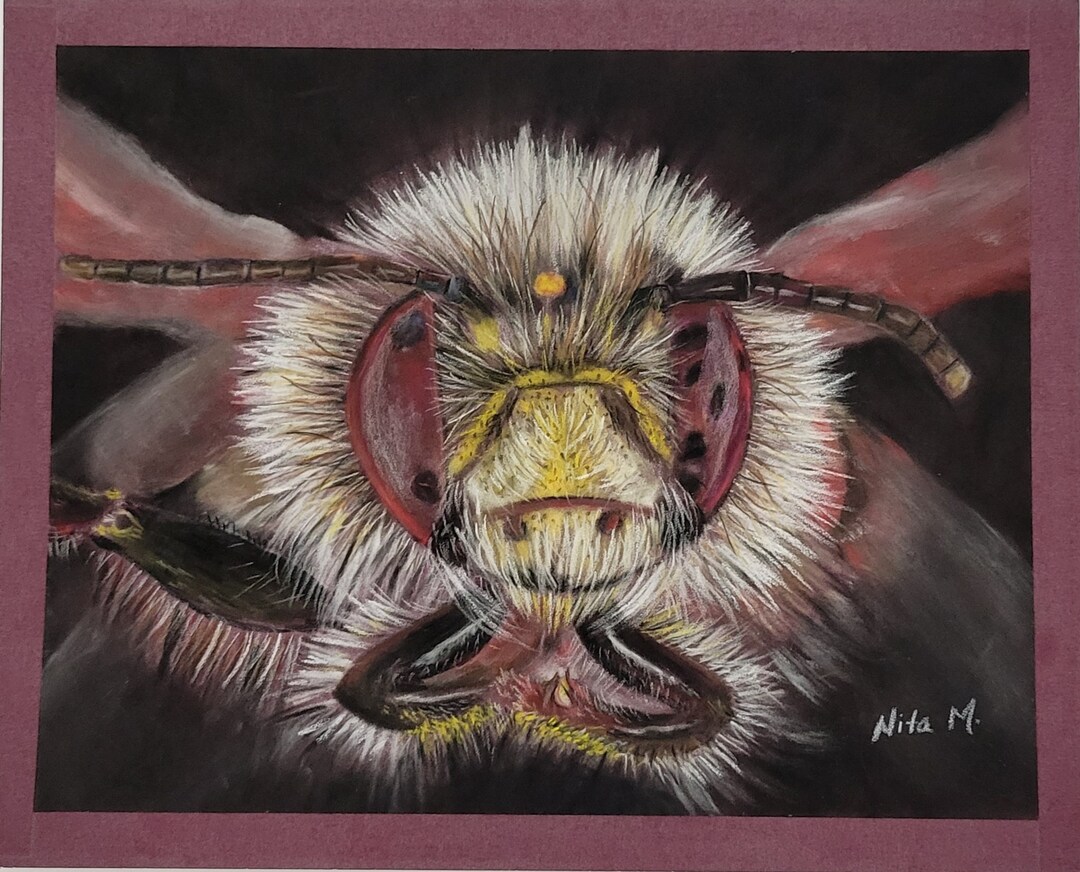 Original Bee Pastel Drawing - Etsy