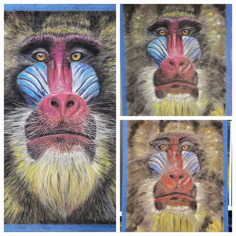 Original Mandrill Monkey Pastel Drawing - Etsy
