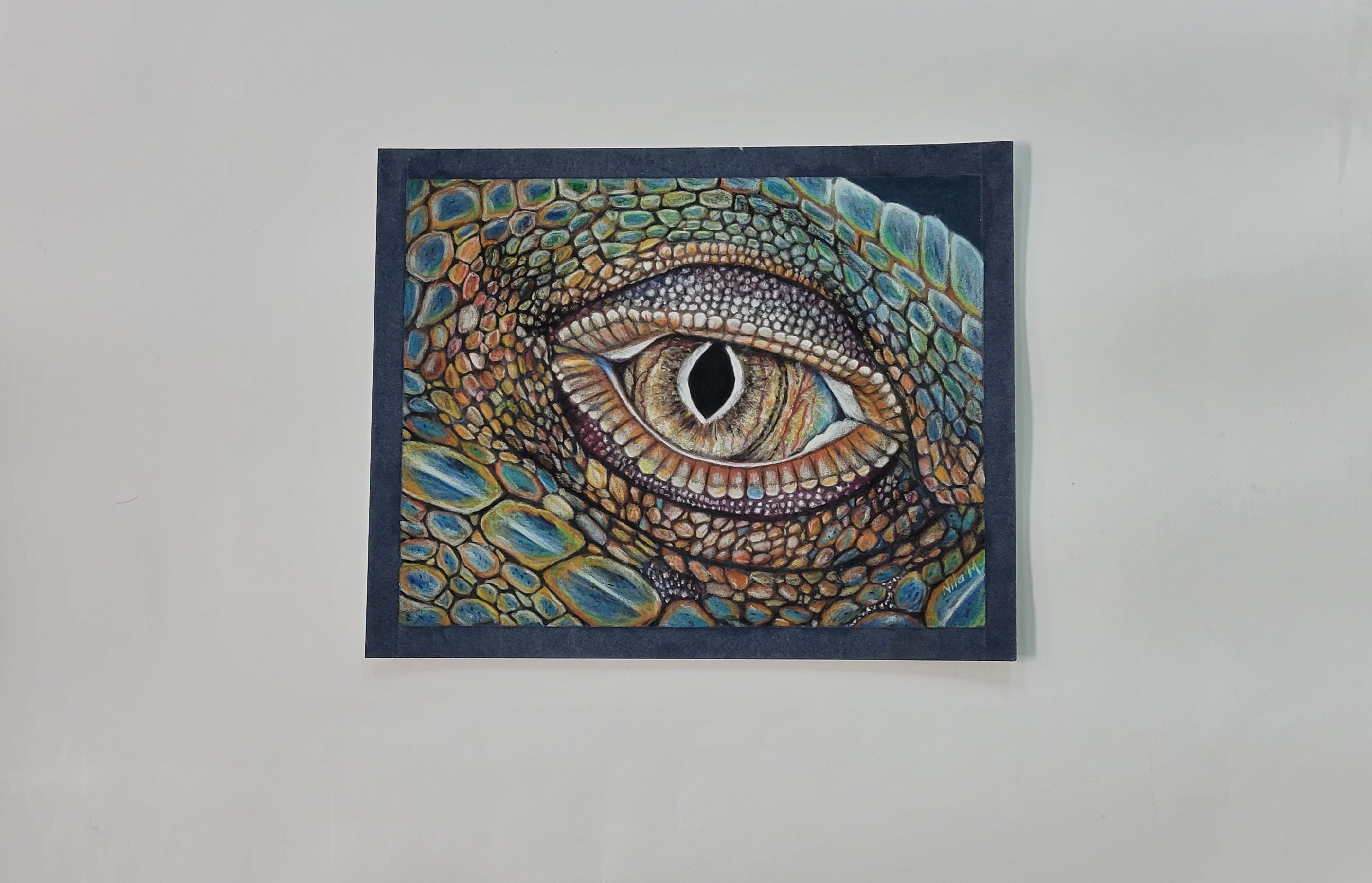 Original Iguana Colored Pencil Drawing - Etsy