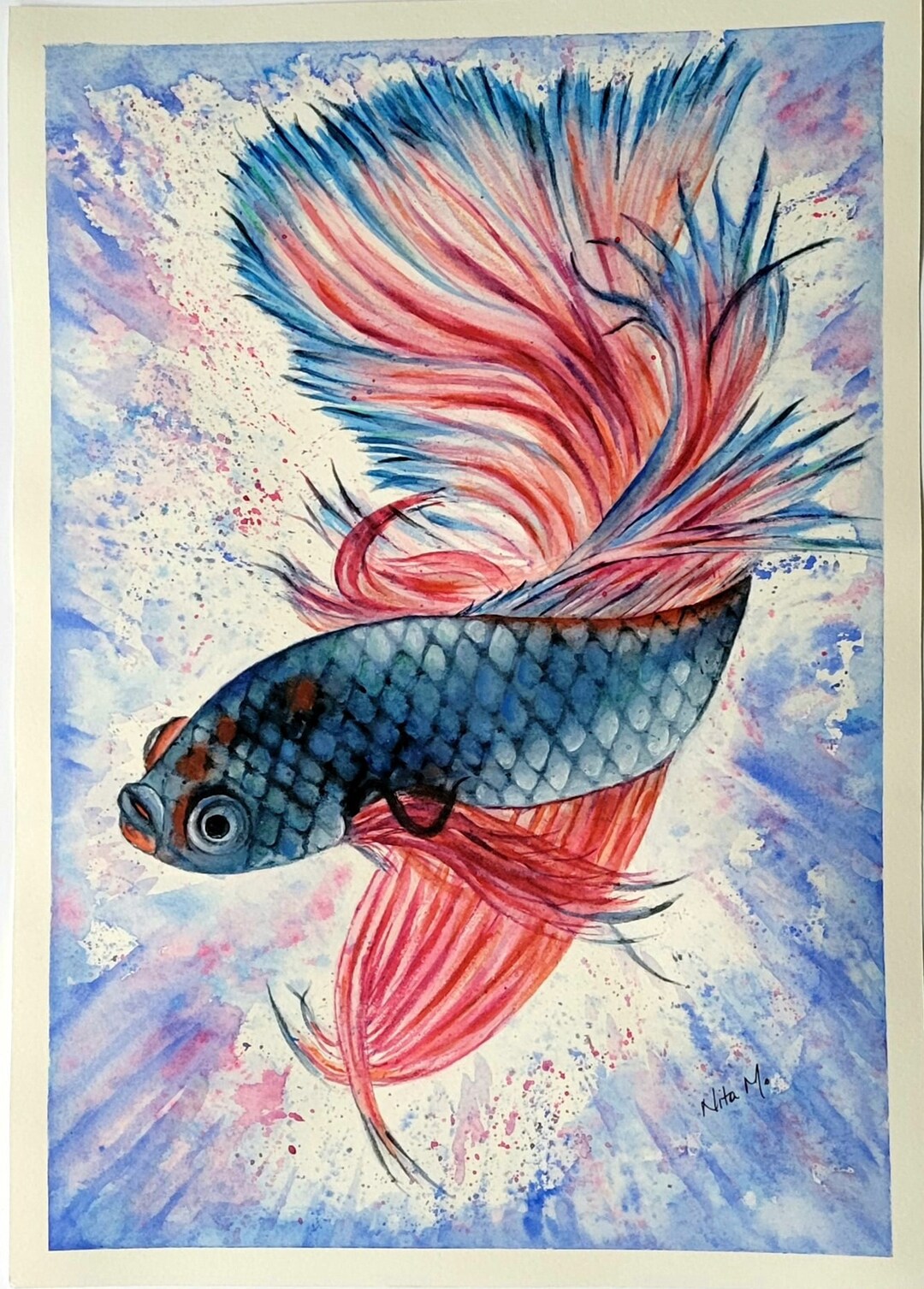 Original Betta Fish Watercolor Painting 11.5" X 16.5" - Etsy