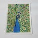 Original Peacock Bird Pastel Drawing - Etsy