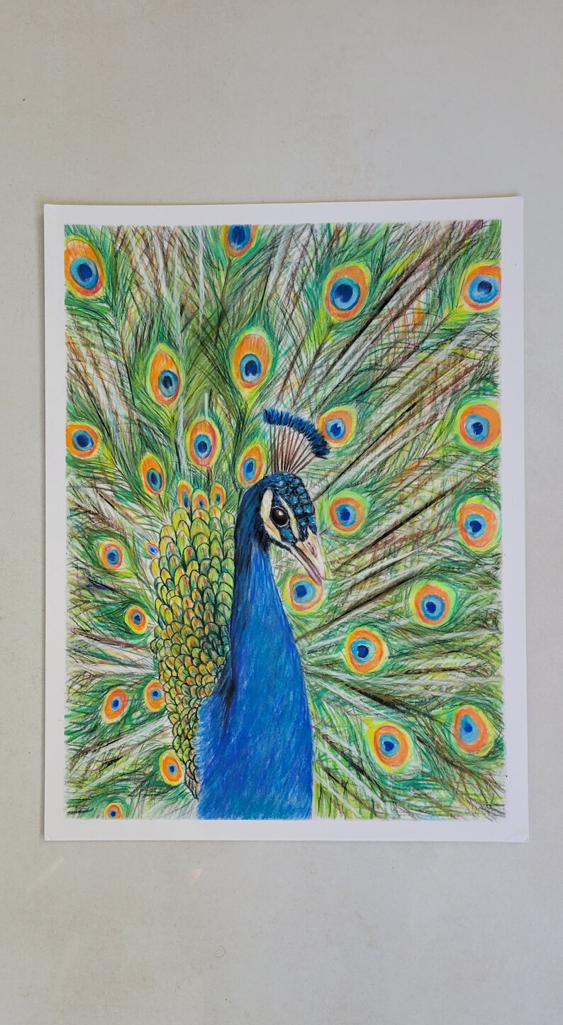 Original Peacock Bird Pastel Drawing - Etsy