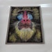 Original Mandrill Monkey Pastel Drawing - Etsy