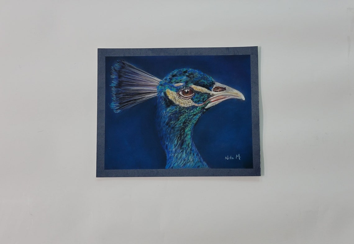 Original Peacock Pastel Drawing - Etsy Canada