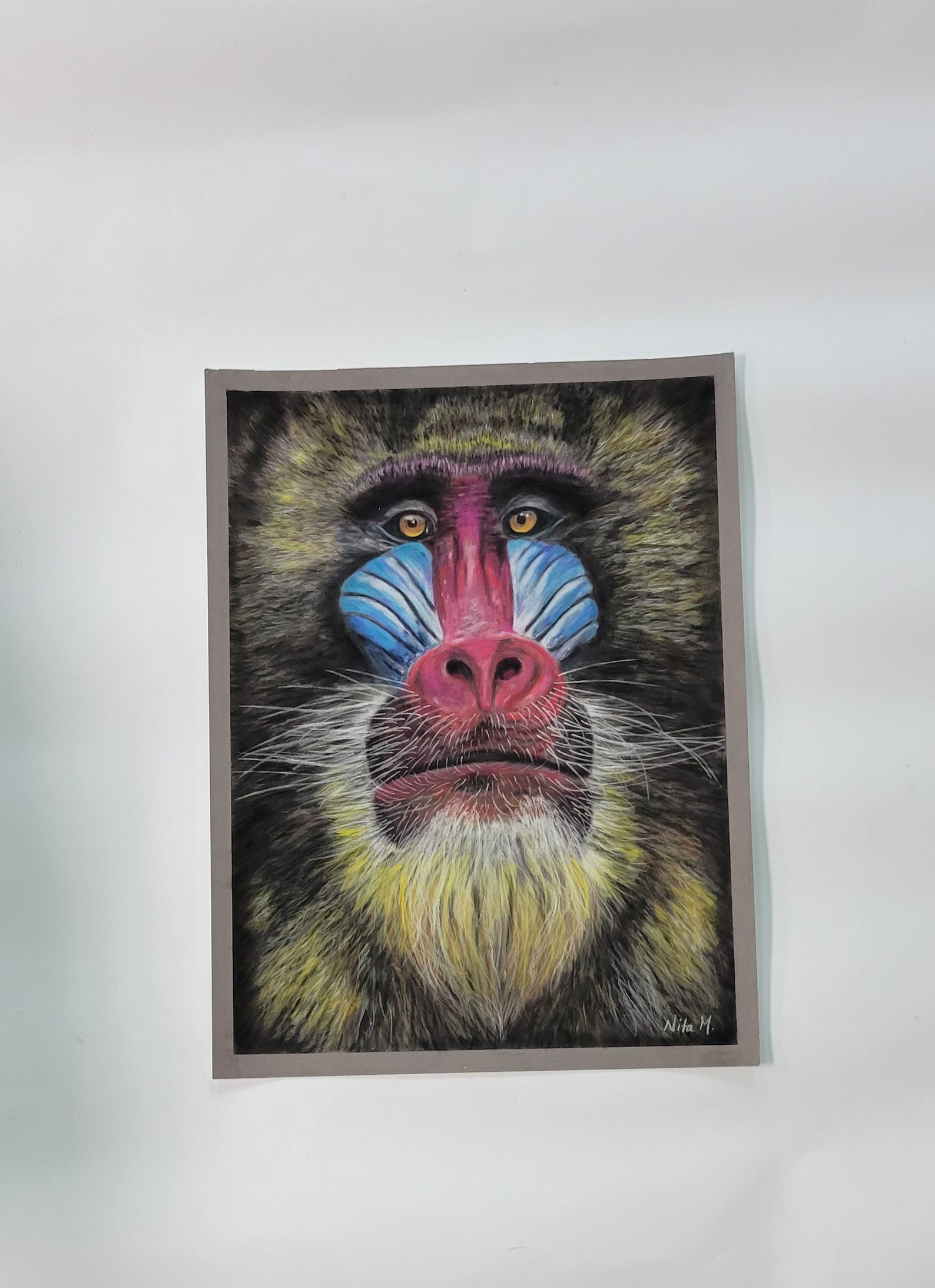 Original Mandrill Monkey Pastel Drawing - Etsy