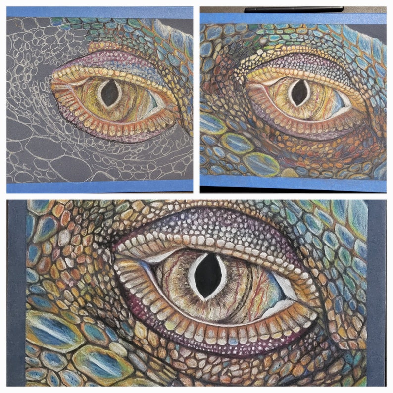 Original Iguana Colored Pencil Drawing - Etsy