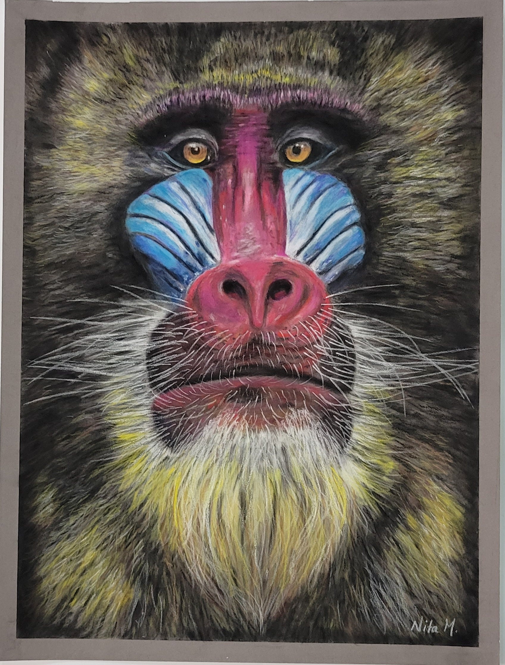 Original Mandrill Monkey Pastel Drawing - Etsy